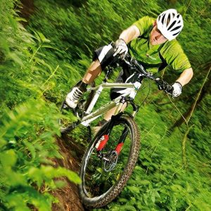 Avis Rockrider Race 900, fiche technique et test complet.